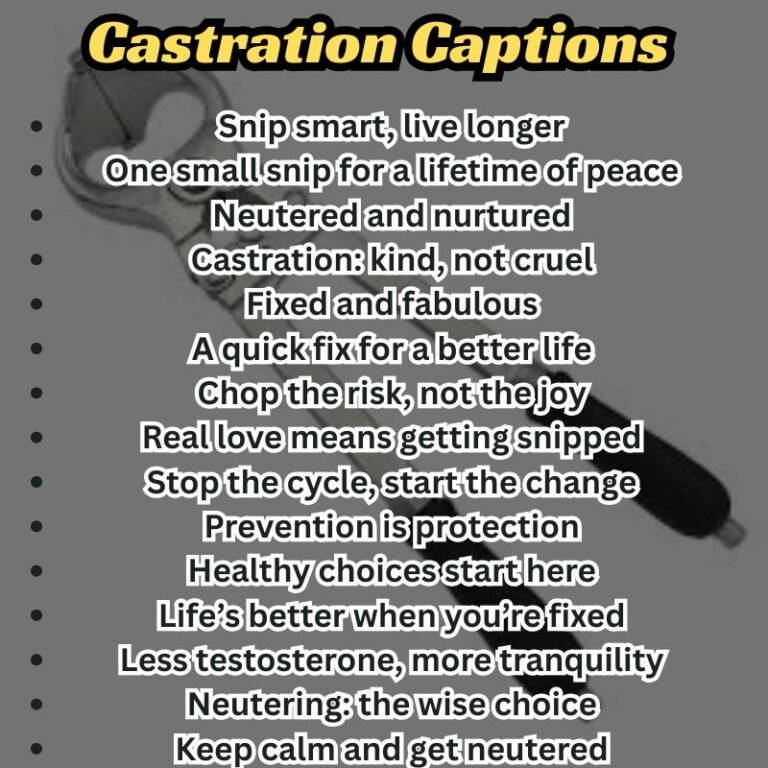 400+ Castration Captions That Save Lives & Pets - captionbluf.com